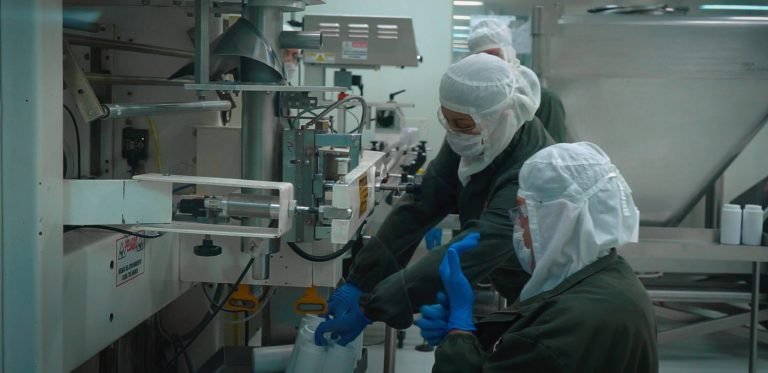 Catálogo Descargable | Collins